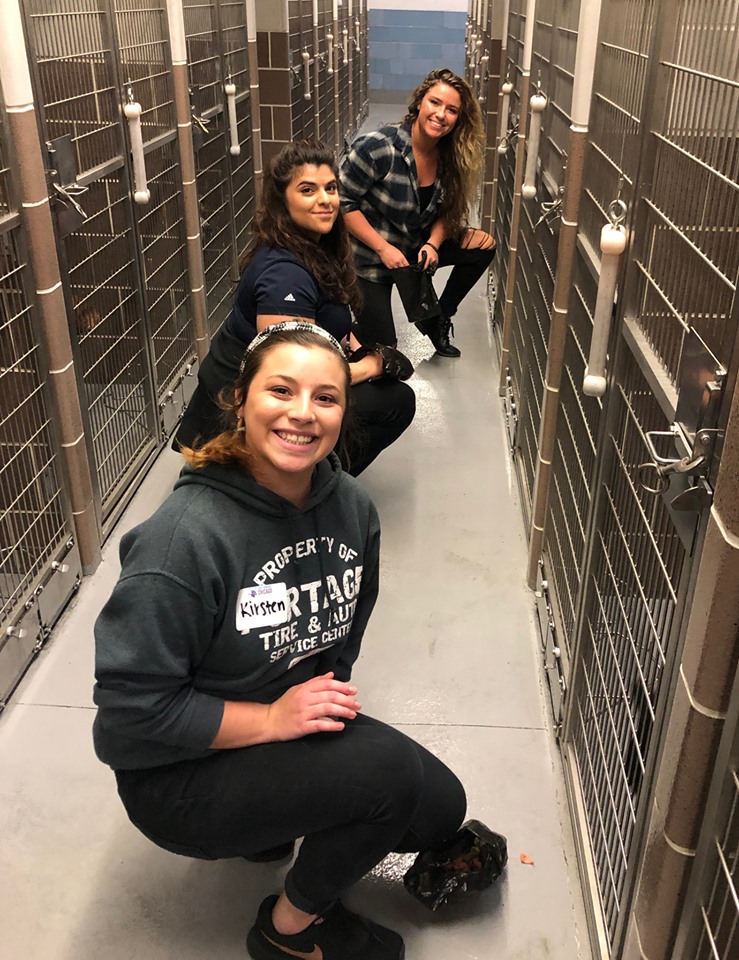 Volunteering at Chicago Animal Care and Control